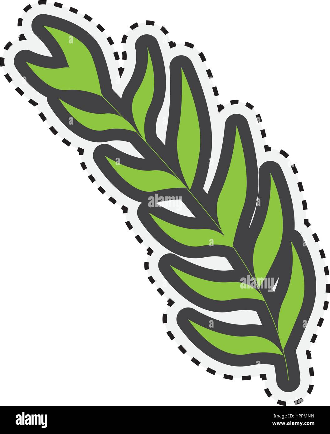 Branches oval green leaves Cut Out Stock Images & Pictures - Alamy