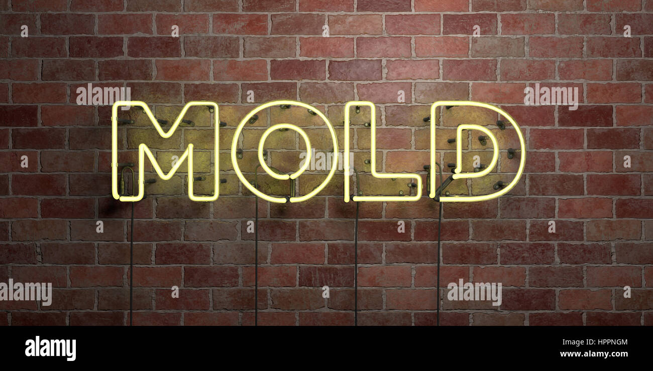 MOLD - fluorescent Neon tube Sign on brickwork - Front view - 3D ...