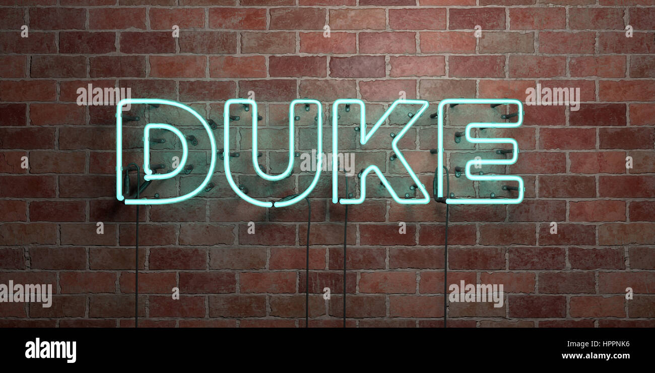 DUKE - fluorescent Neon tube Sign on brickwork - Front view - 3D ...