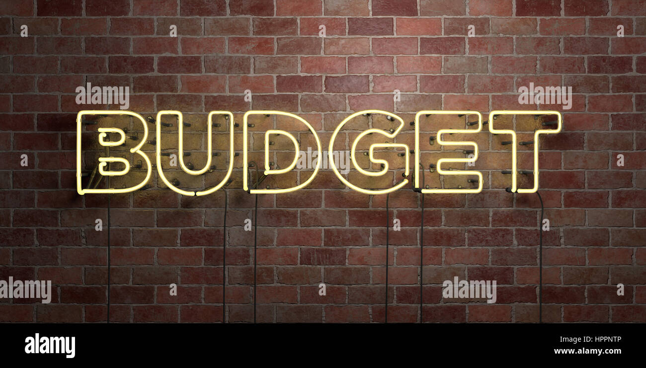 BUDGET - fluorescent Neon tube Sign on brickwork - Front view - 3D ...