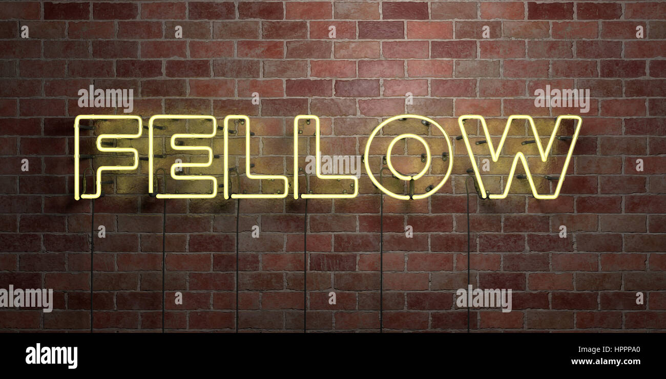FELLOW - fluorescent Neon tube Sign on brickwork - Front view - 3D ...