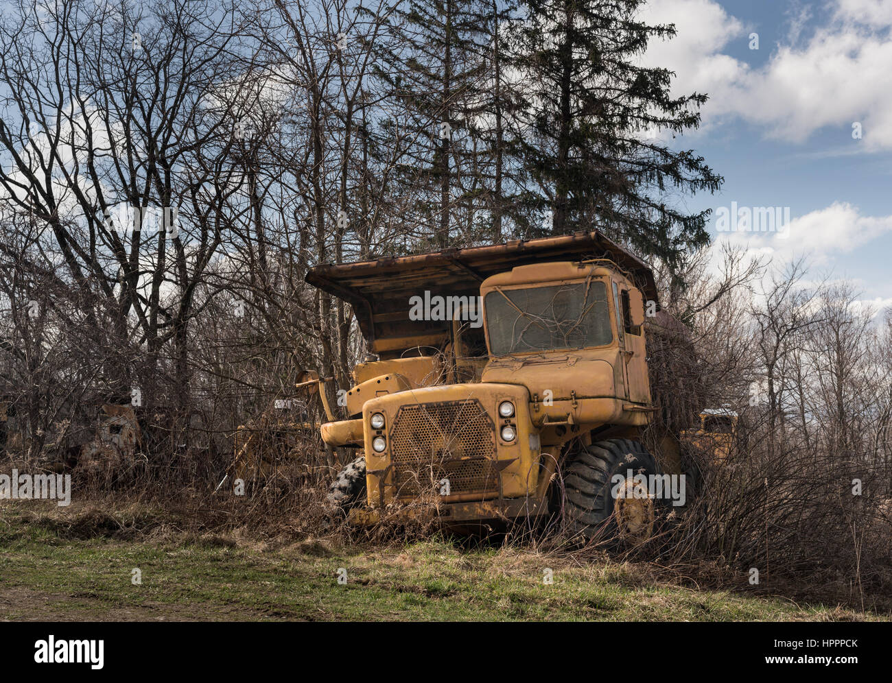 Rusting and overgrown heavy yellow industrial truck and equipment ...