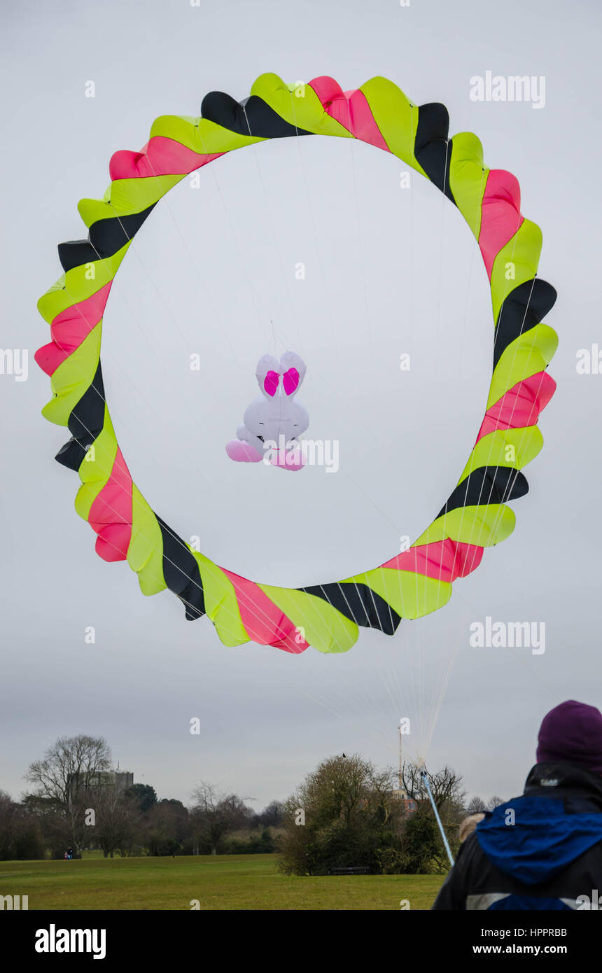A large rabbit shaped in the background with a large circular kite in ...