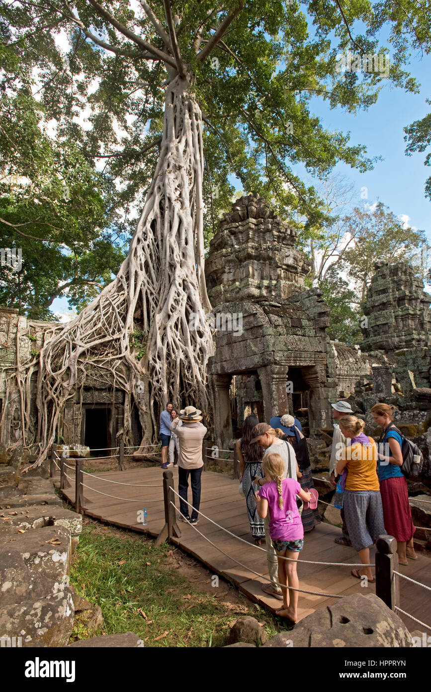 Roots around building hi-res stock photography and images - Alamy