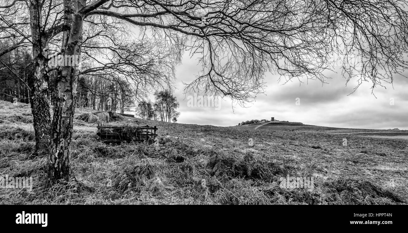 Bradgate park landscapes hi-res stock photography and images - Alamy