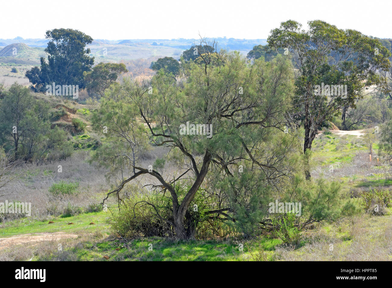 Bsor hi-res stock photography and images - Alamy
