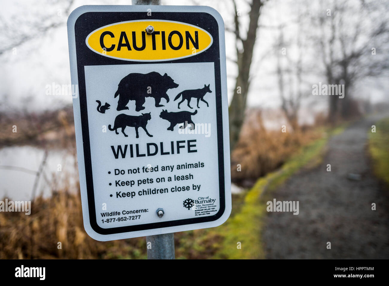 Caution Wildlife sign, Burnaby, British Columbia, Canada Stock Photo ...