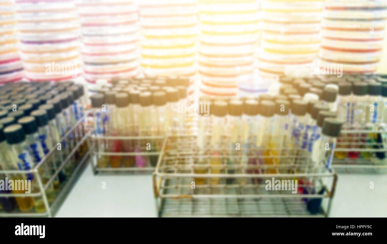 Blood agar hi-res stock photography and images - Alamy