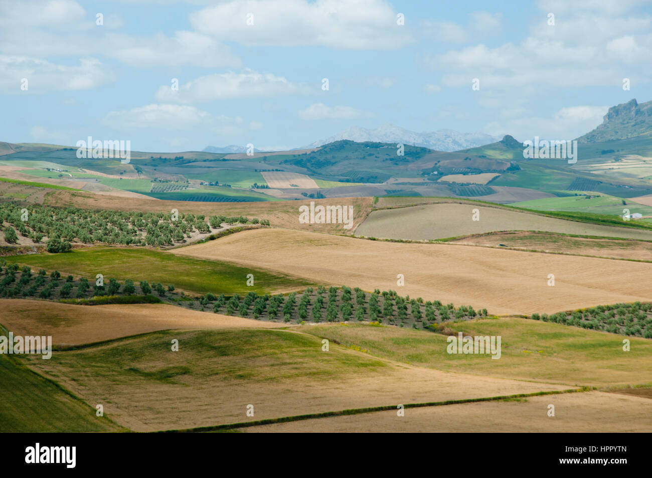 Spain farming hi-res stock photography and images - Alamy