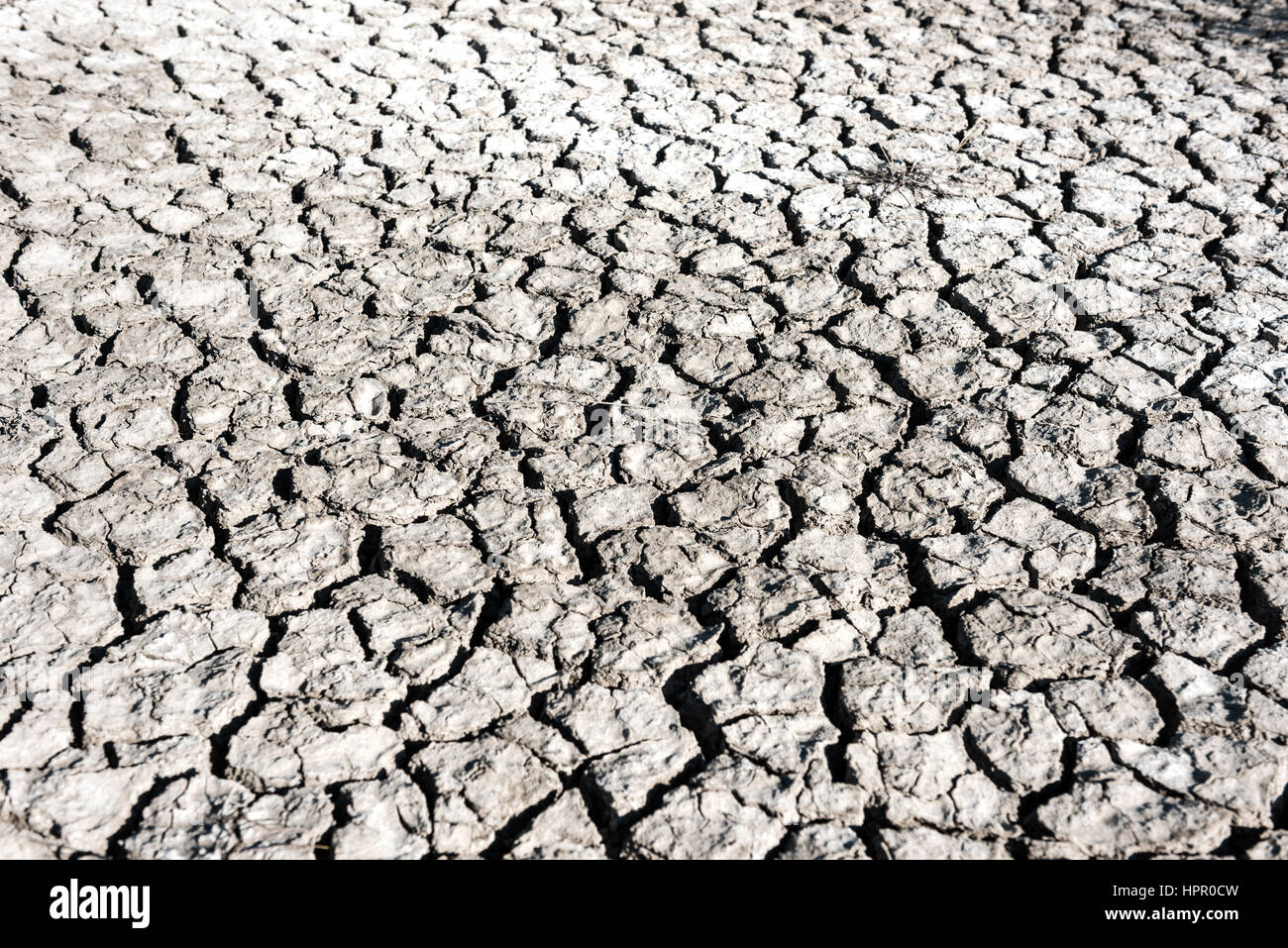 Cracked soil texture Stock Photo - Alamy