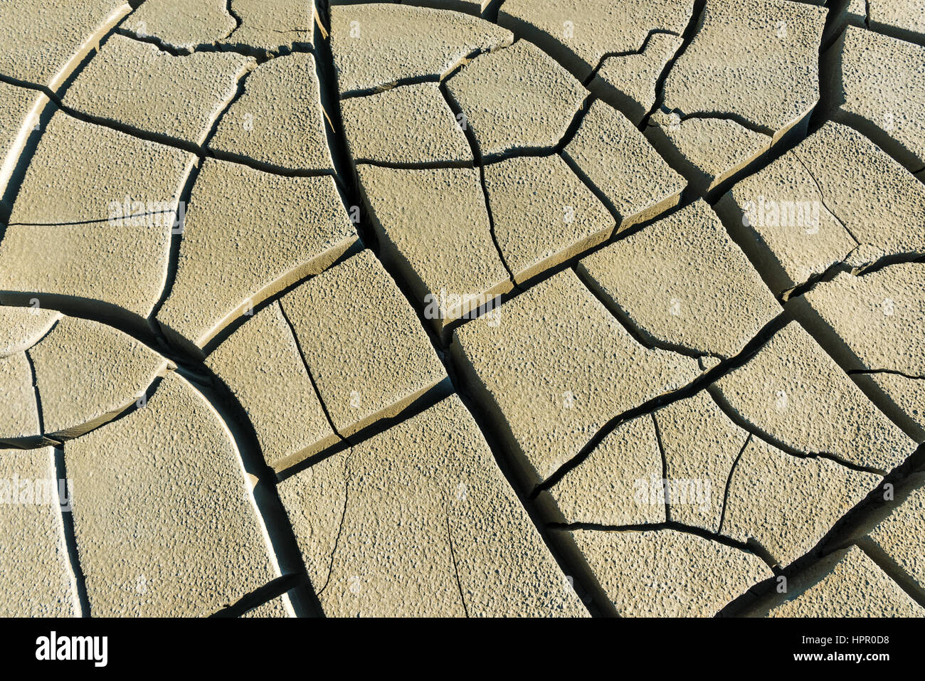 Cracked soil texture Stock Photo - Alamy
