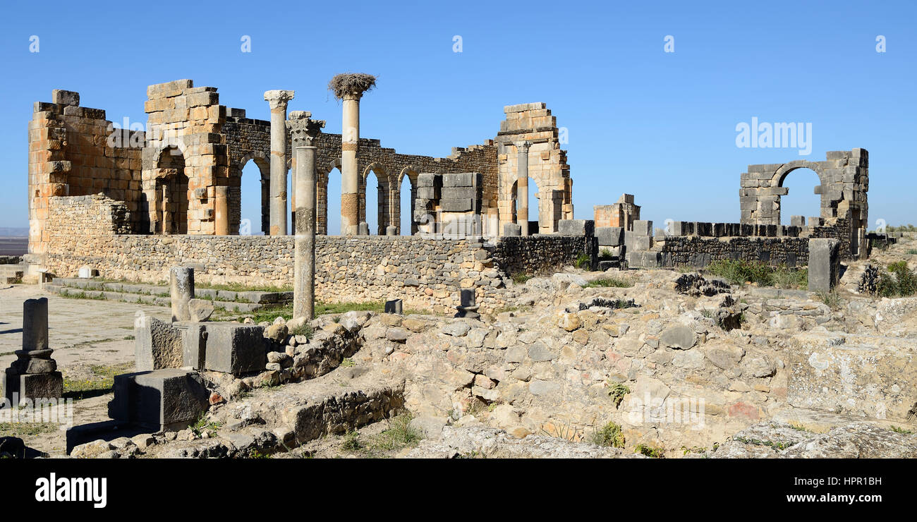 Extensive complex of ruins of the Roman city Volubilis - of ancient ...