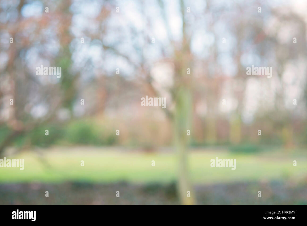 Blurred natural background (for portrait shootings Stock Photo - Alamy