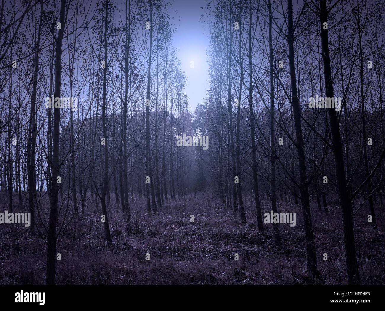 Spooky nighttime hi-res stock photography and images - Alamy