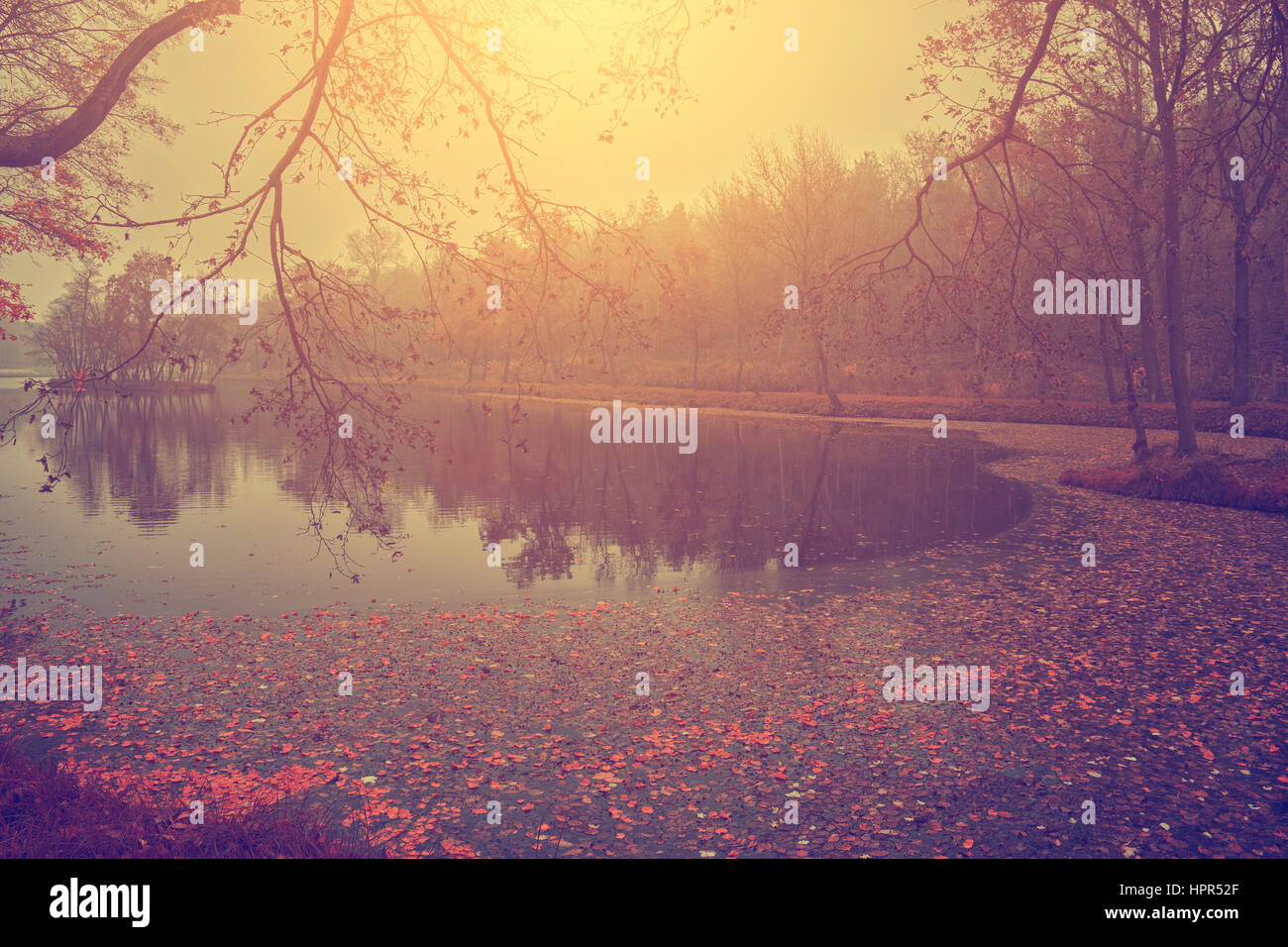 Beautiful autumn forest and lake Stock Photo - Alamy