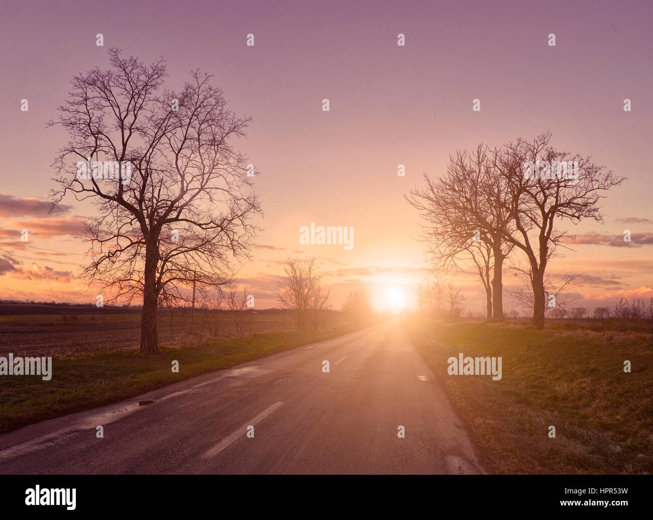 Asphalt road in sunset hi-res stock photography and images - Alamy