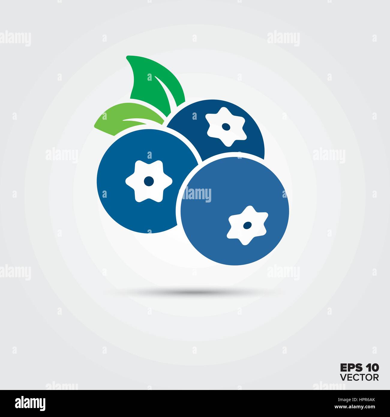 Vector blueberry hi-res stock photography and images - Alamy