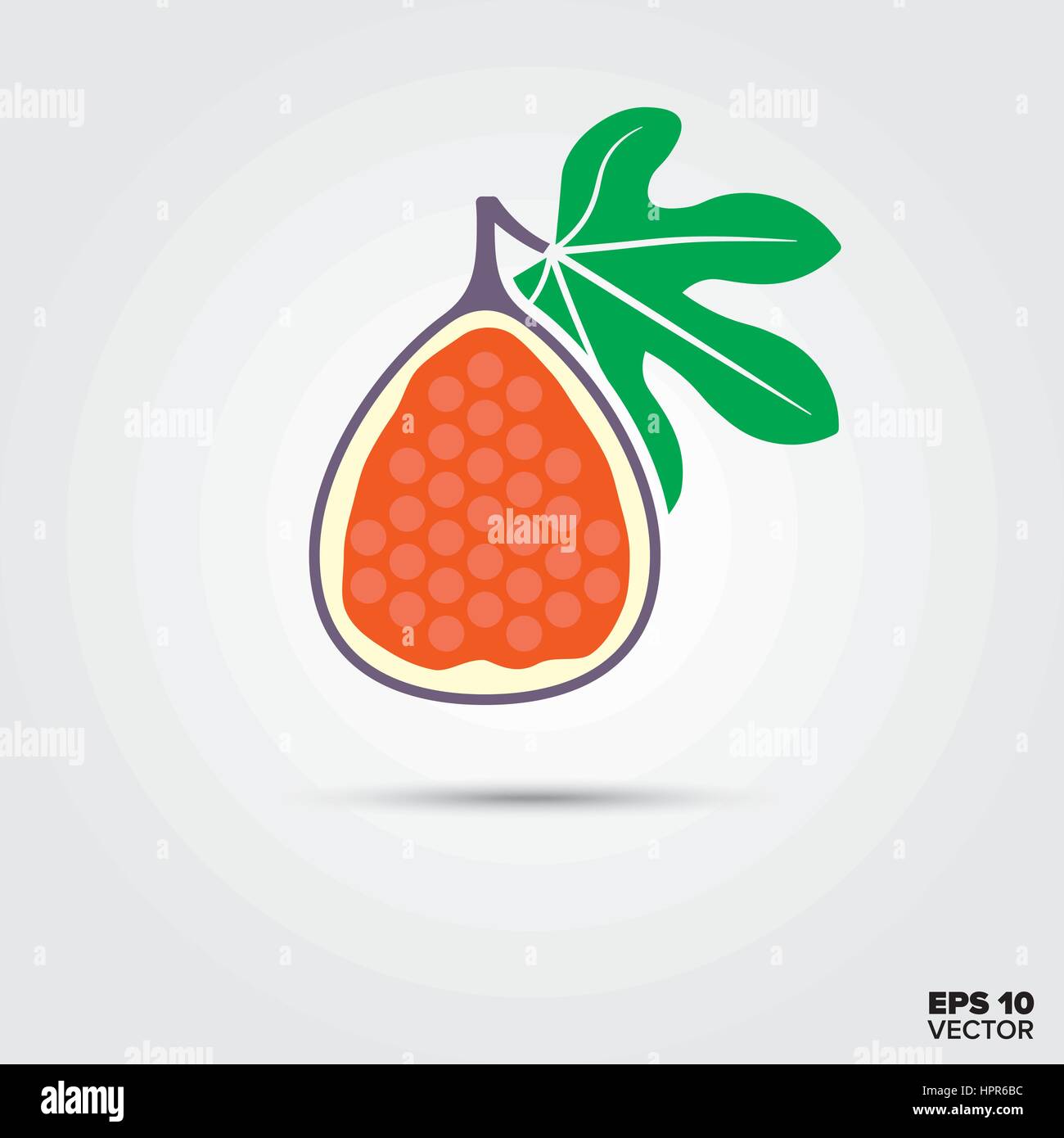 Half a fig Stock Vector Images - Alamy