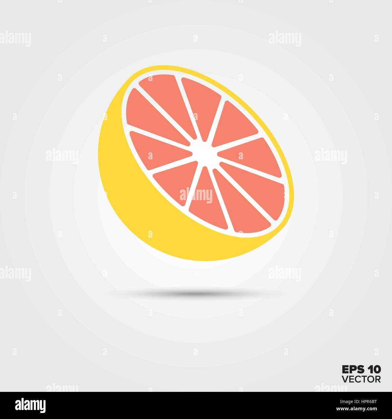 Section vector vectors hi-res stock photography and images - Alamy