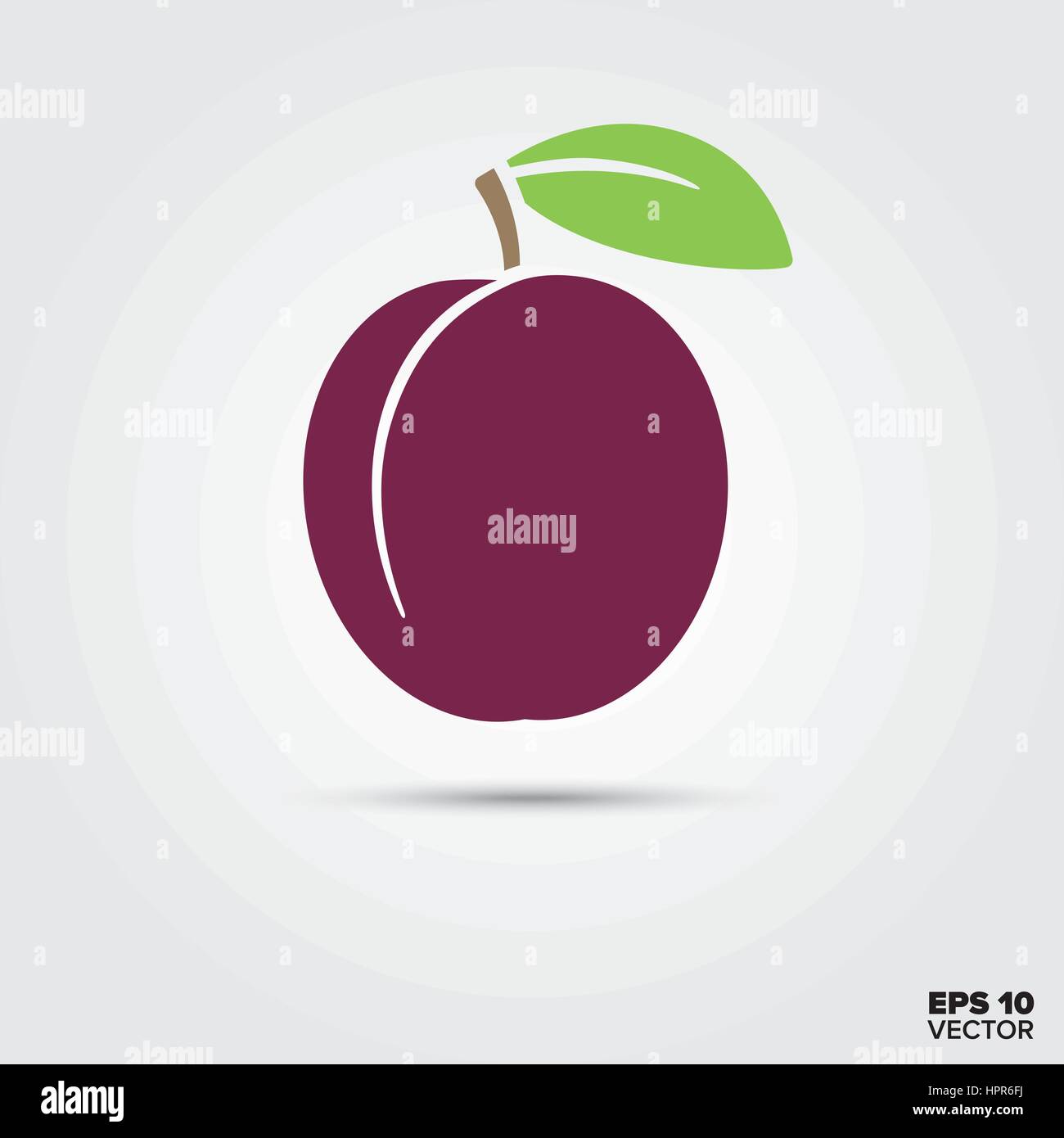 Prune vector vectors hi-res stock photography and images - Alamy