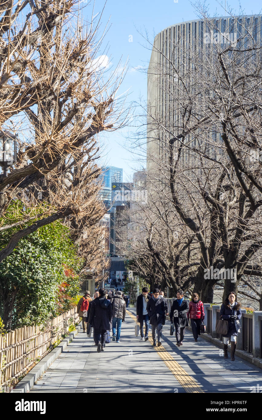 National showa museum hi-res stock photography and images - Alamy