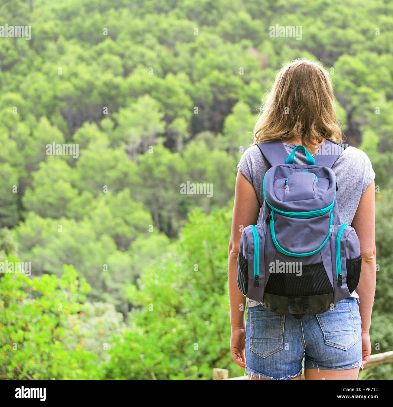 One woman back view walking woods hi-res stock photography and images ...