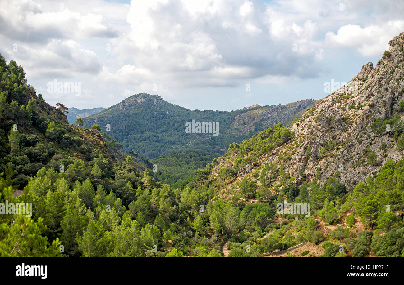 Beautiful gorge in the mountains Stock Photo - Alamy