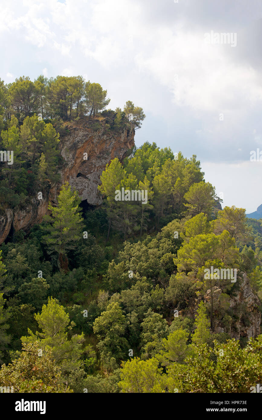 Beautiful gorge in the mountains Stock Photo - Alamy