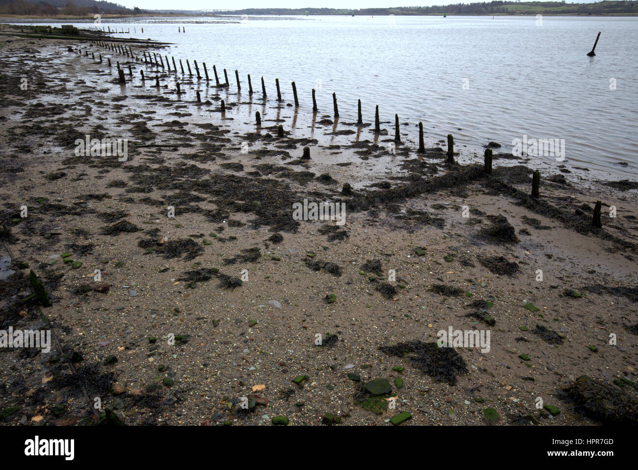 Prevent beach erosion hi-res stock photography and images - Alamy