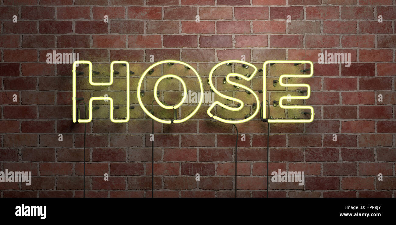 HOSE - fluorescent Neon tube Sign on brickwork - Front view - 3D ...