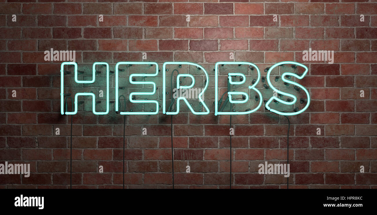 HERBS - fluorescent Neon tube Sign on brickwork - Front view - 3D ...