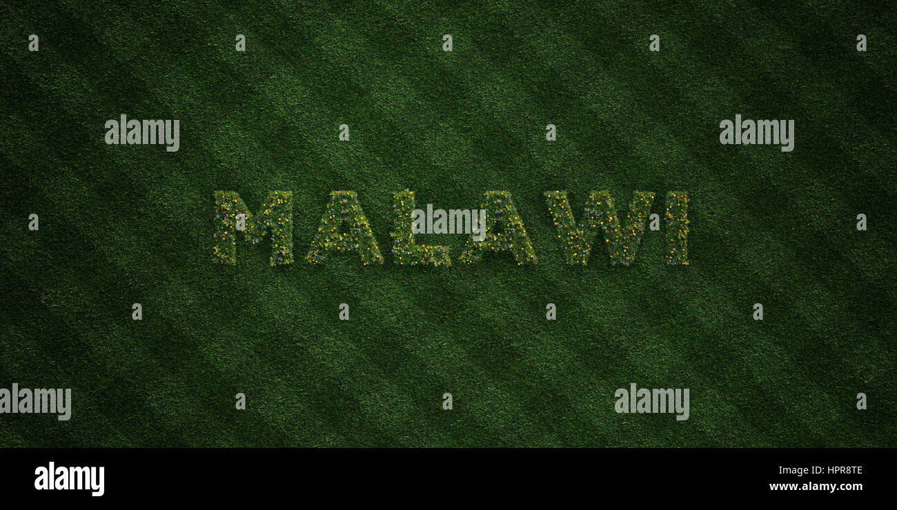 MALAWI - fresh Grass letters with flowers and dandelions - 3D rendered ...