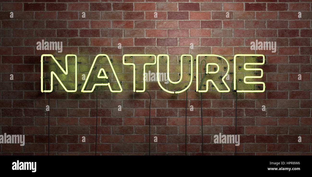 NATURE - fluorescent Neon tube Sign on brickwork - Front view - 3D ...