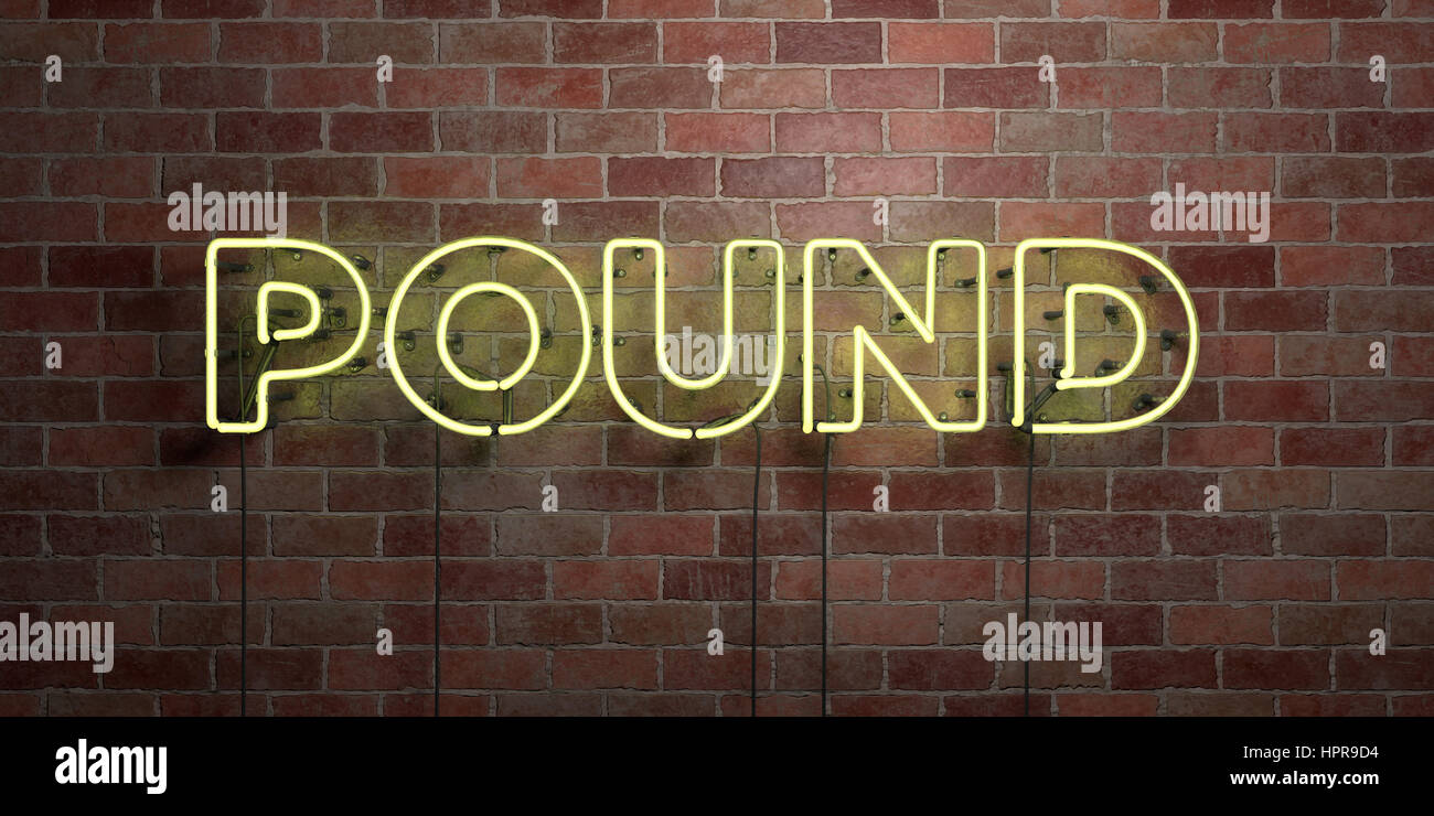 POUND - fluorescent Neon tube Sign on brickwork - Front view - 3D ...