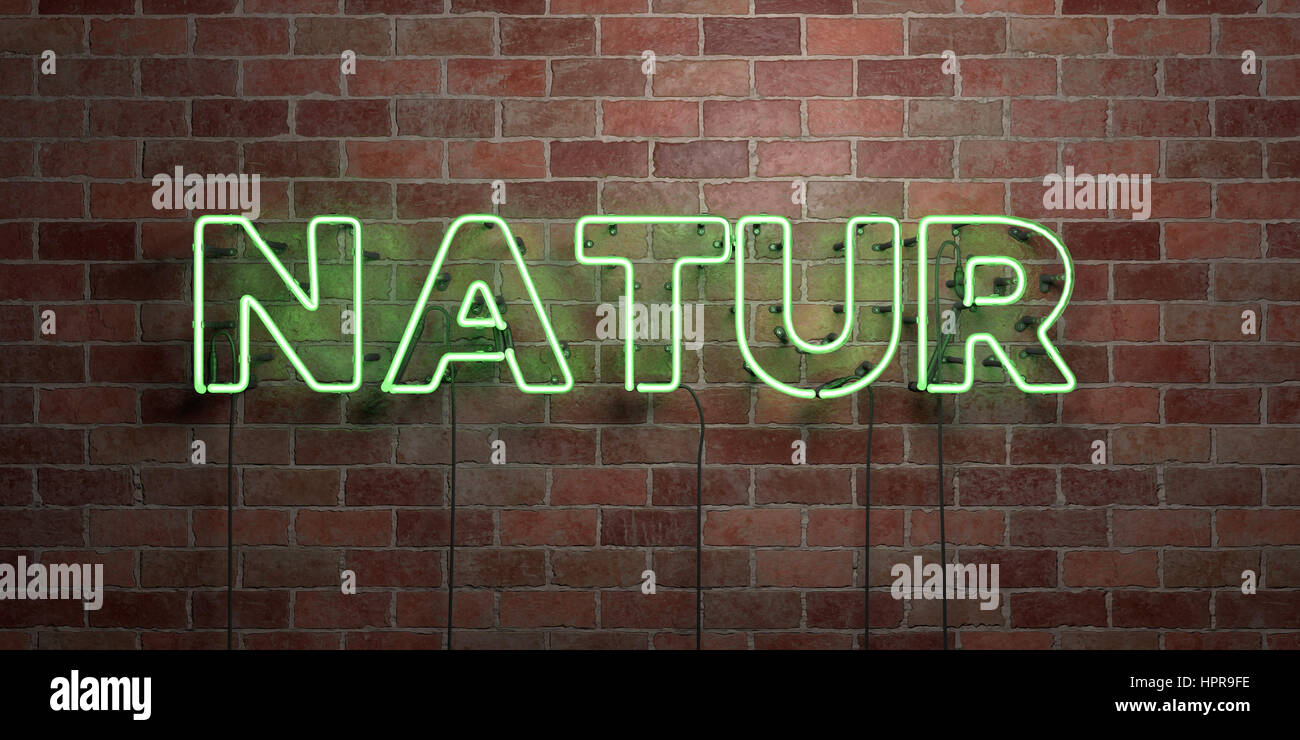 NATUR - fluorescent Neon tube Sign on brickwork - Front view - 3D ...