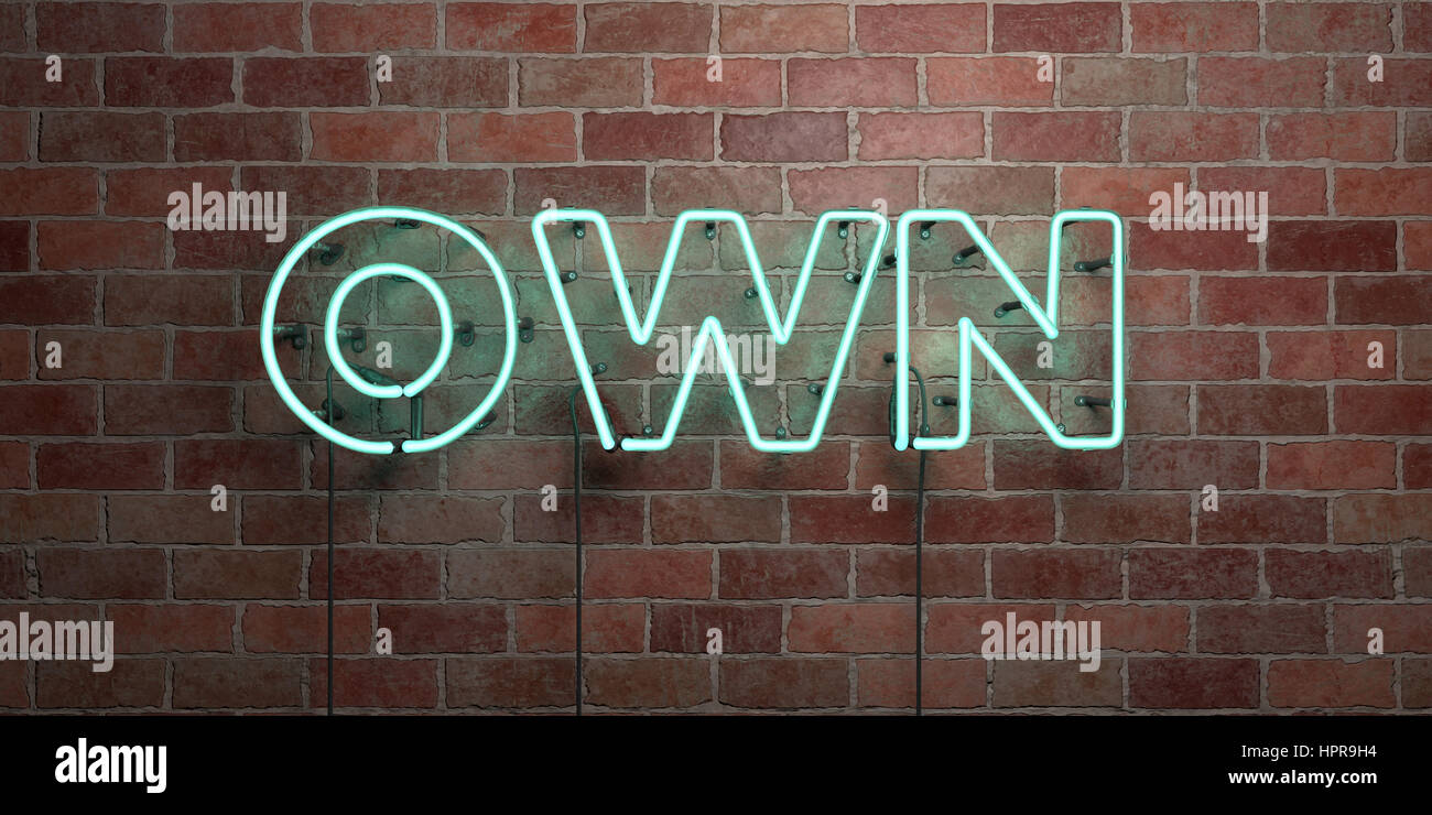 OWN - fluorescent Neon tube Sign on brickwork - Front view - 3D ...
