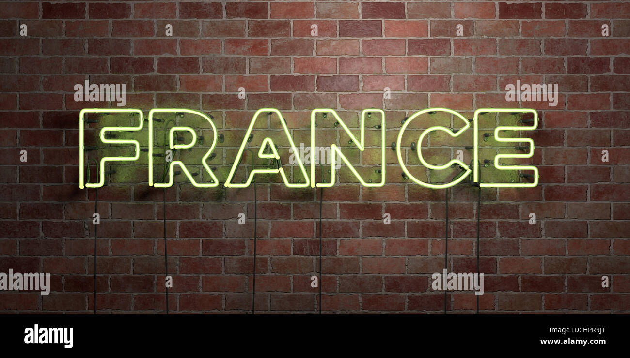FRANCE - fluorescent Neon tube Sign on brickwork - Front view - 3D ...