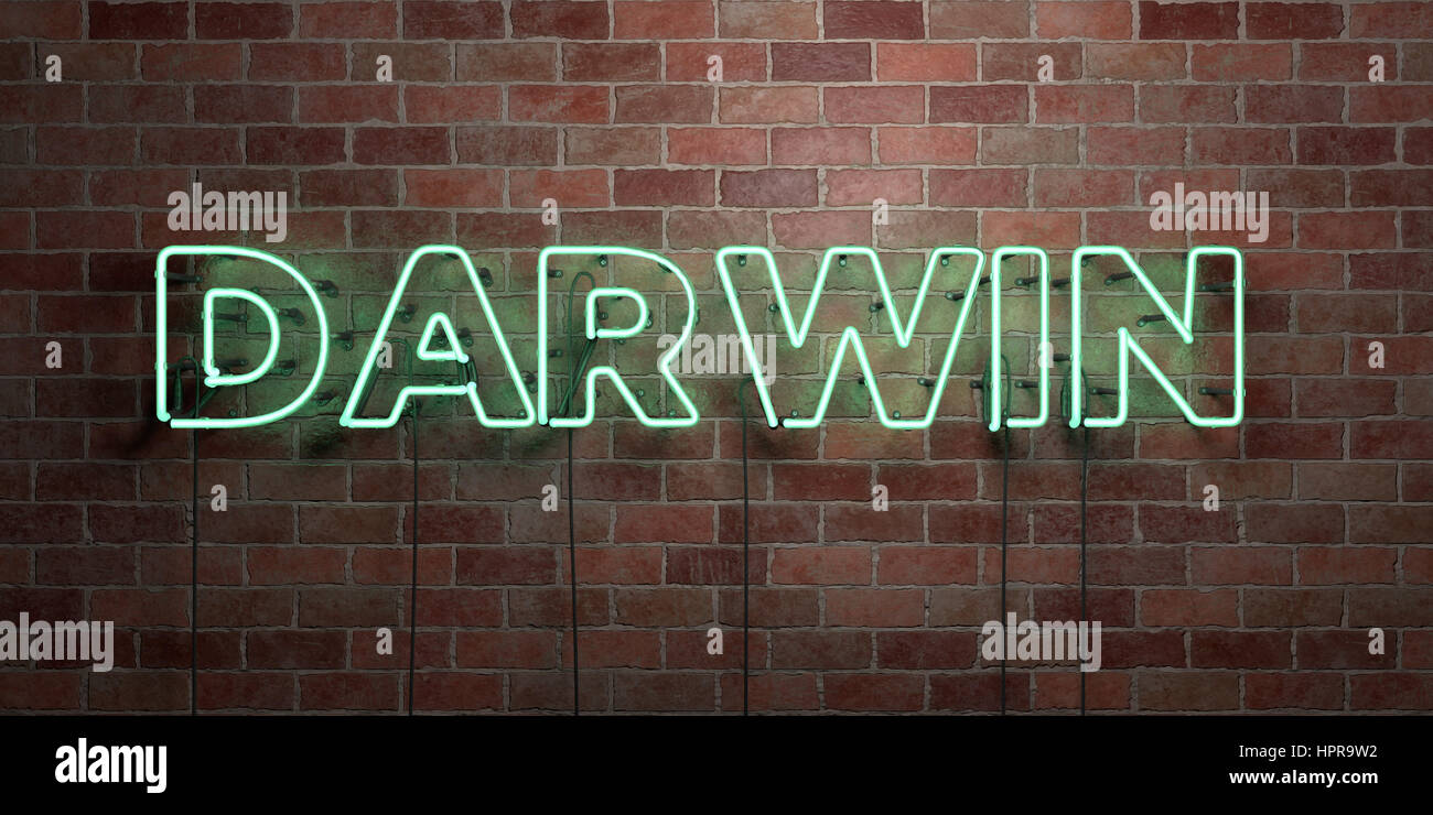 DARWIN - fluorescent Neon tube Sign on brickwork - Front view - 3D ...