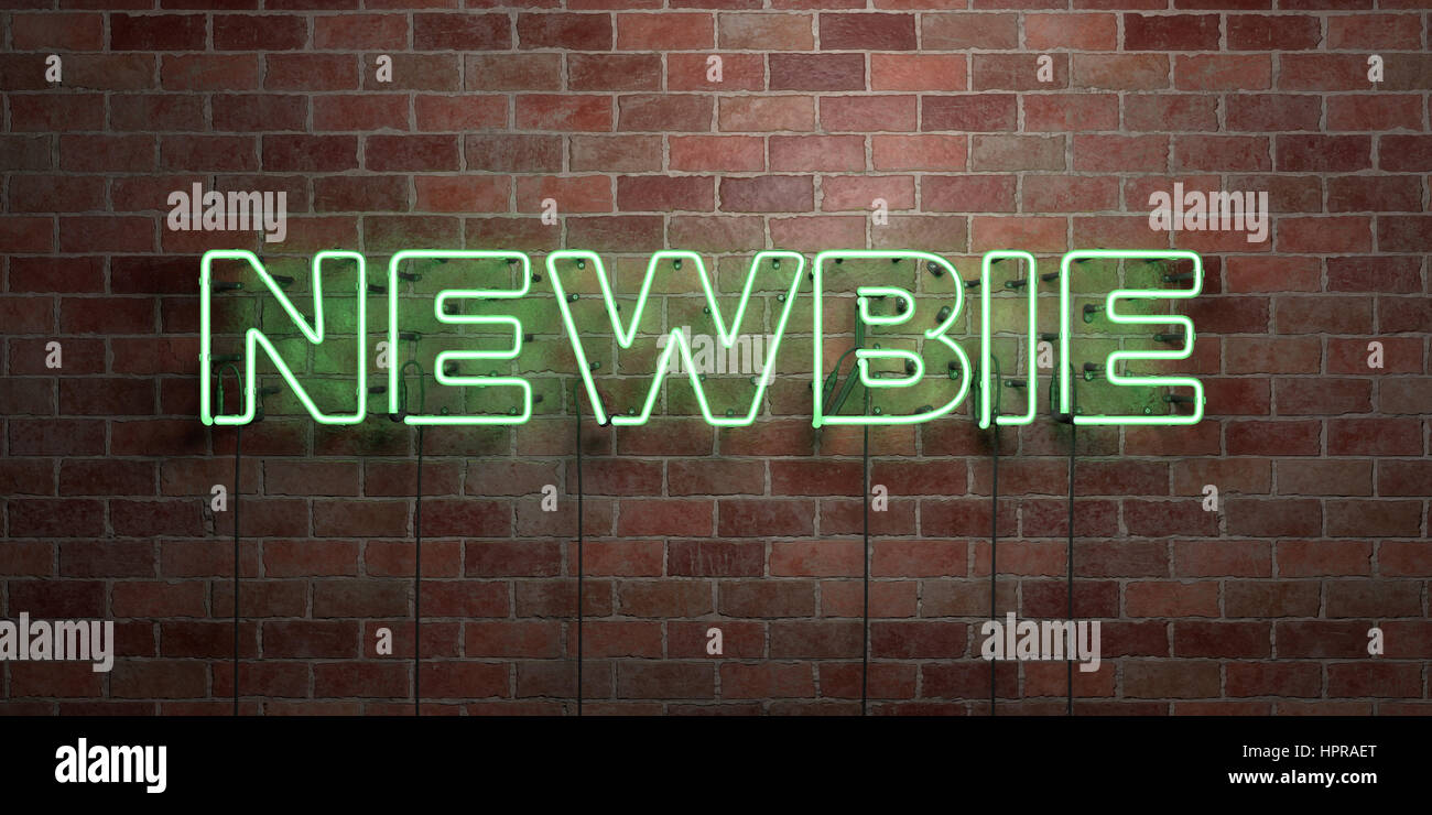 NEWBIE - fluorescent Neon tube Sign on brickwork - Front view - 3D ...
