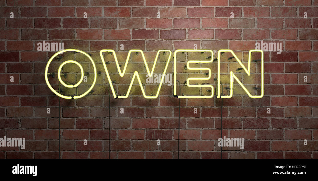 OWEN - fluorescent Neon tube Sign on brickwork - Front view - 3D ...