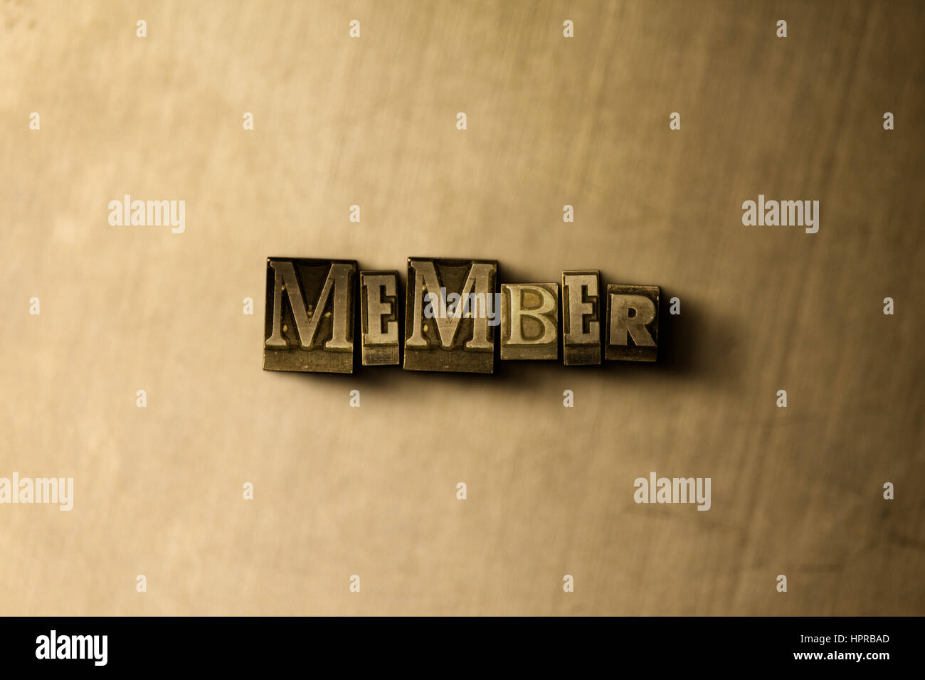 MEMBER - close-up of grungy vintage typeset word on metal backdrop ...