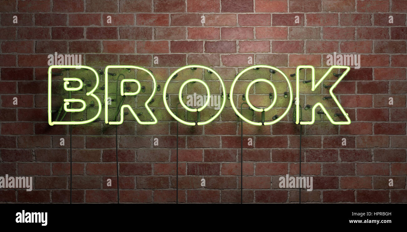 BROOK - fluorescent Neon tube Sign on brickwork - Front view - 3D ...