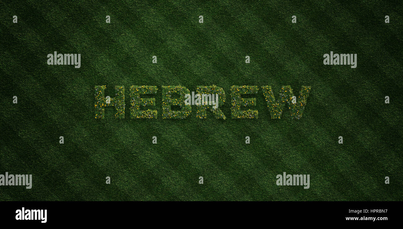 HEBREW - fresh Grass letters with flowers and dandelions - 3D rendered ...