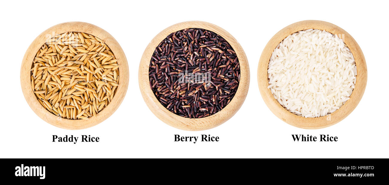 Different of berry rice, Paddy, and white rice in wooden dish isolated ...
