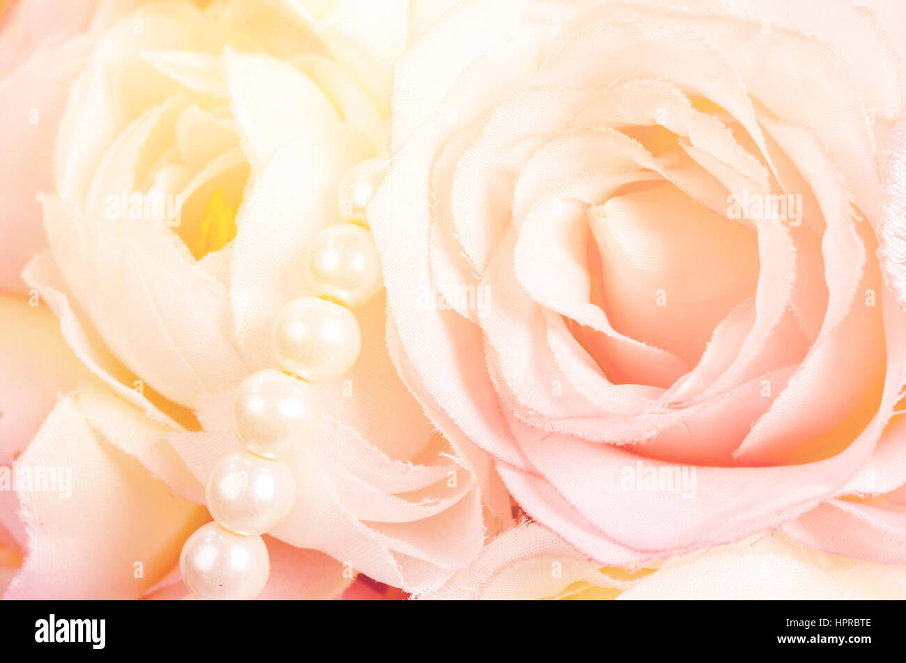 sweet color roses in soft color for flora background Stock Photo - Alamy