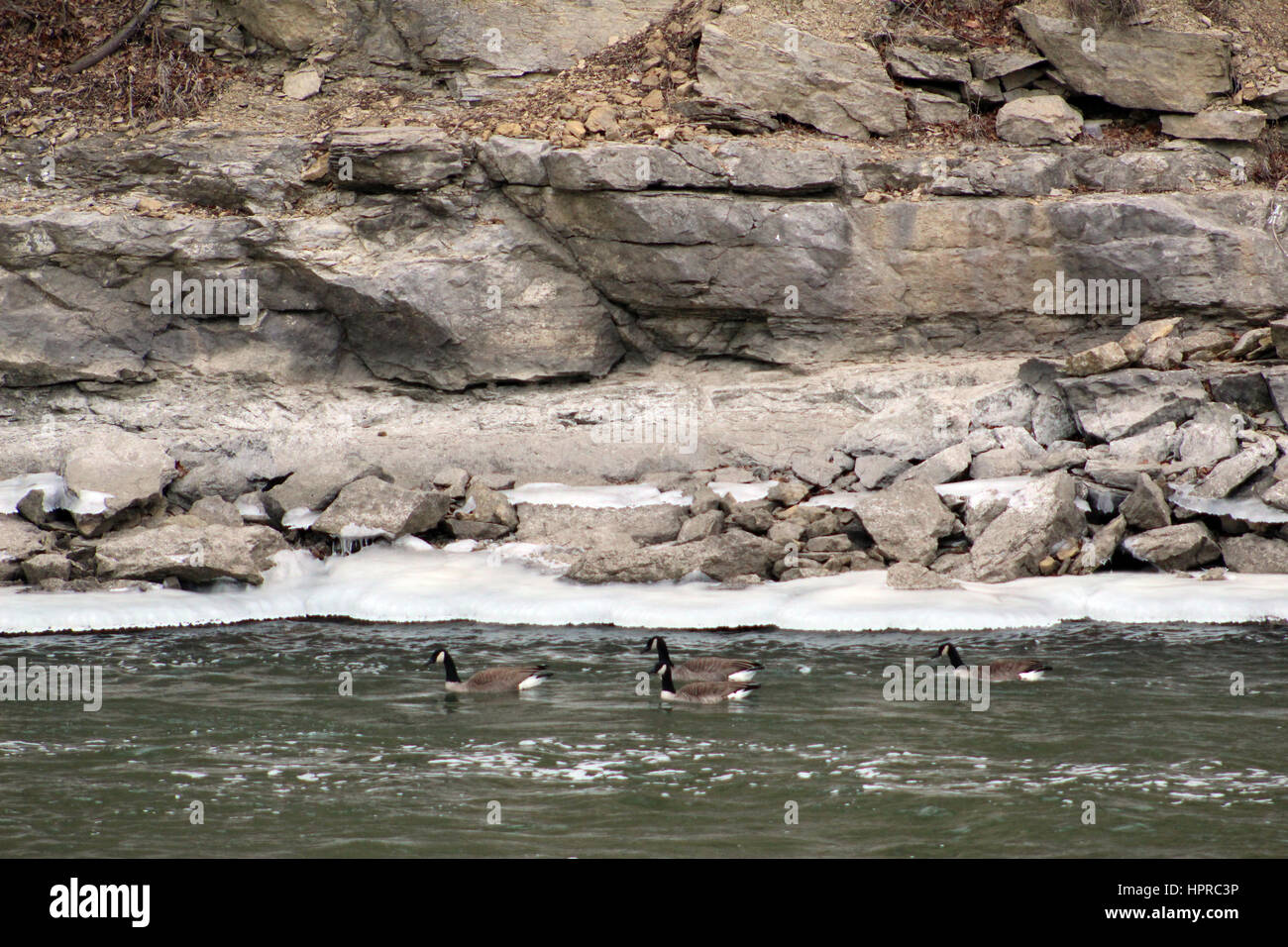 Stone Wall in Nature along the Iowa River Stock Photo - Alamy