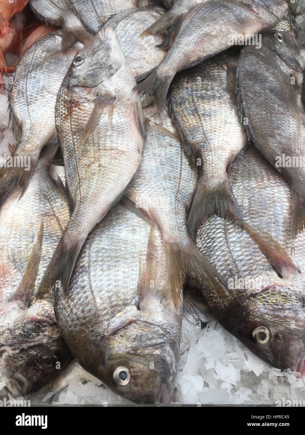 Pile of dead fish on ice at the outdoor food market in Flushing, Queens ...