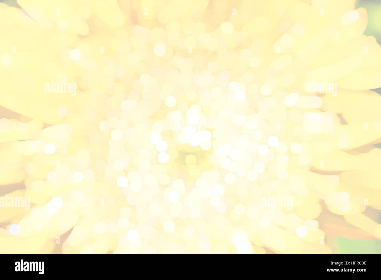 Pastel yellow hi-res stock photography and images - Alamy