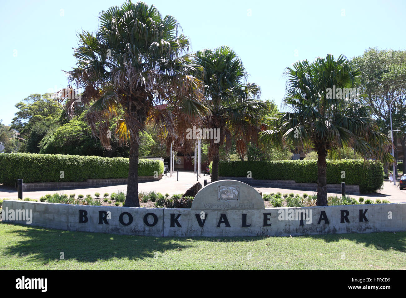 Brookvale Park, Sydney, Australia Stock Photo - Alamy