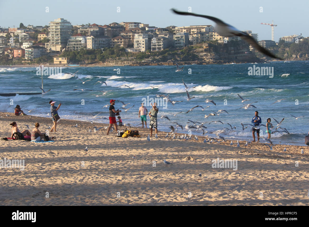 Manly Beach at dusk, Sydney, Australia Stock Photo - Alamy